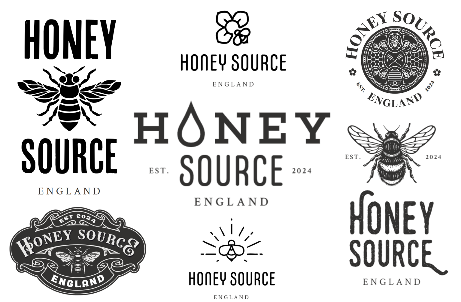 Launching a website and brand for Honey Source - Design & Digital ...